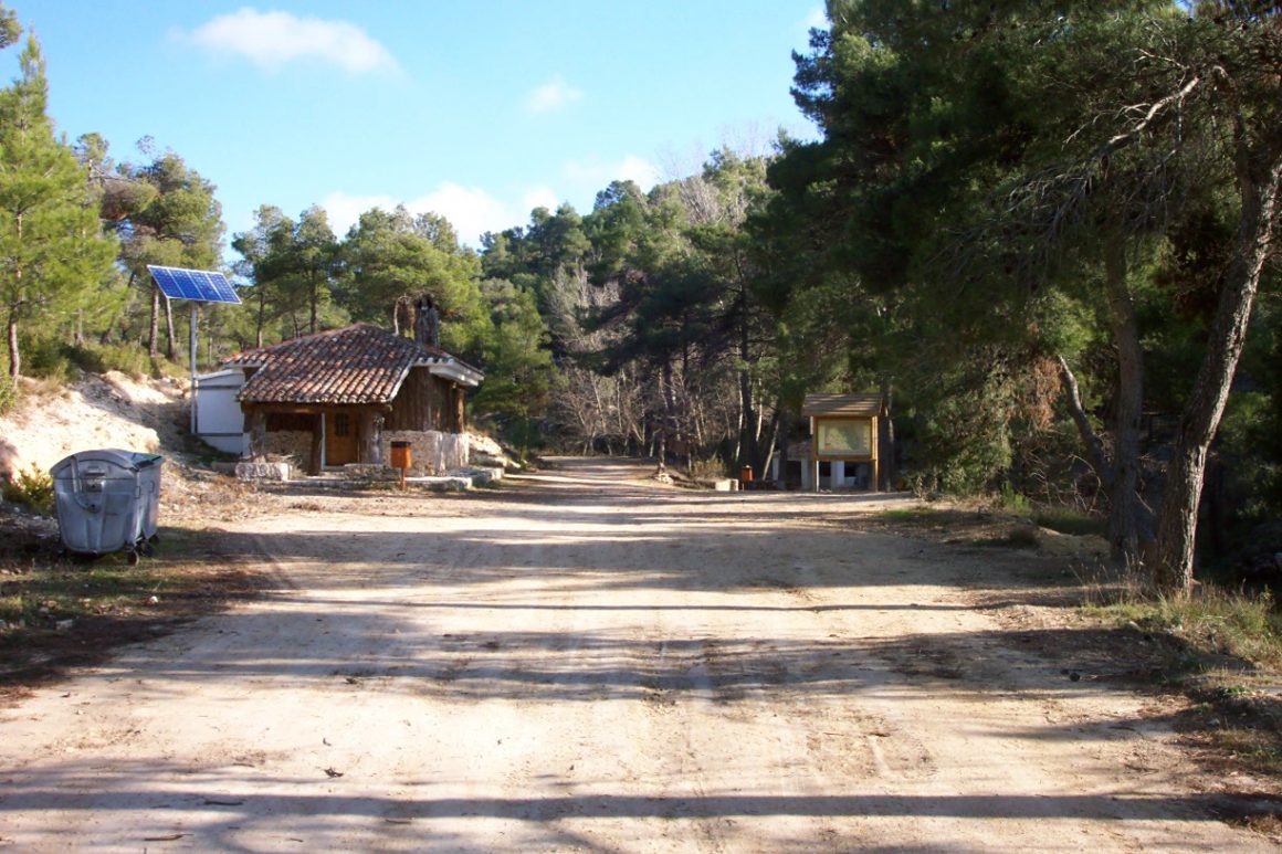 Rebollo 1 | Almansa Turística